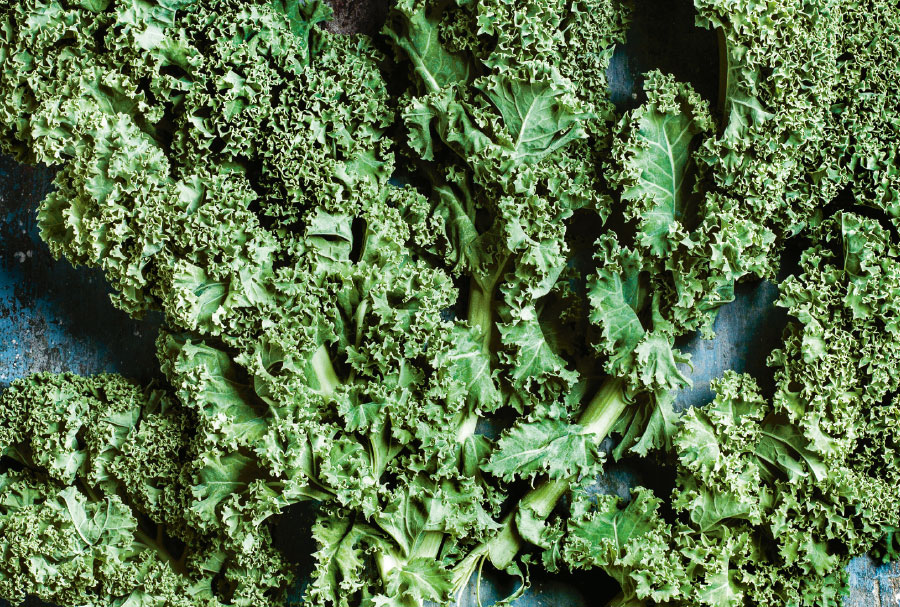 Accueil — Marge Design